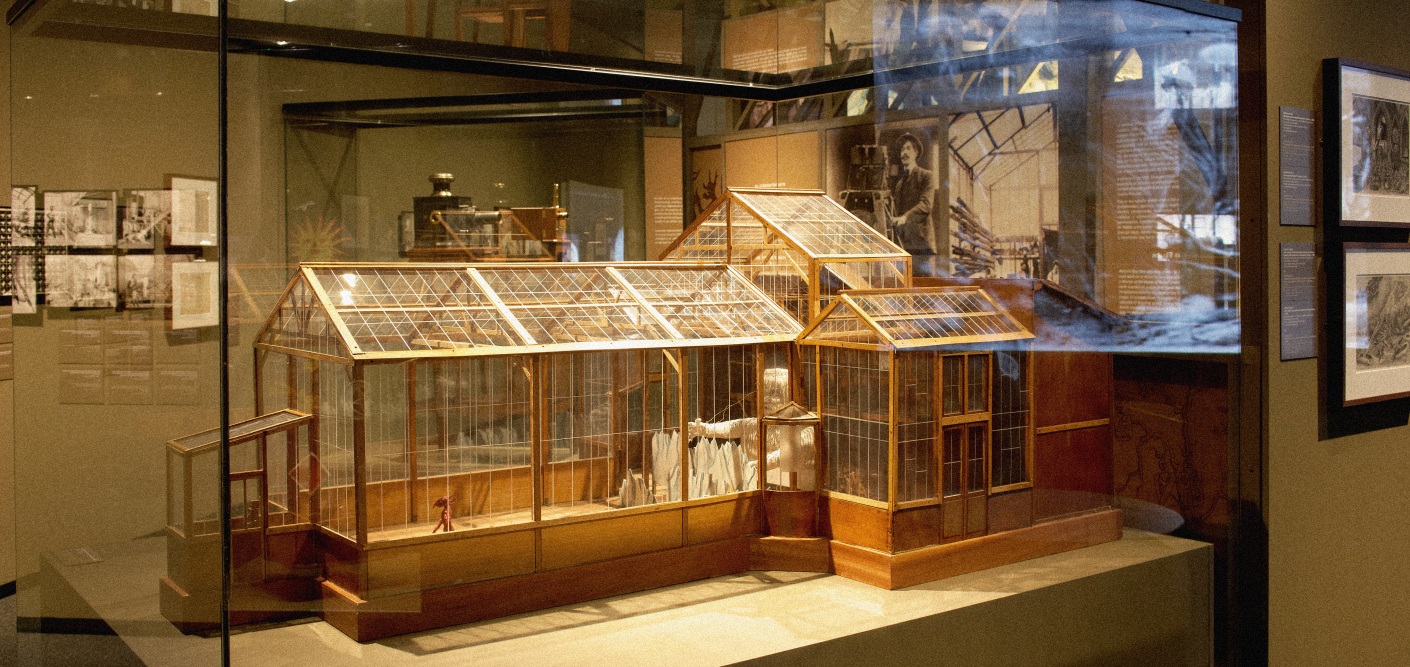 Georges Méliès. The Magic of Film - Museography | Ignasi Cristià, set ...